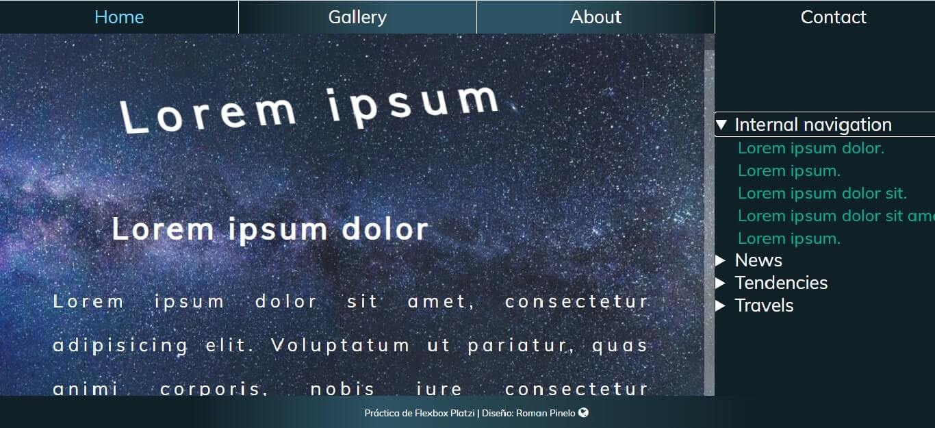 Portafolio Roman Pinelo