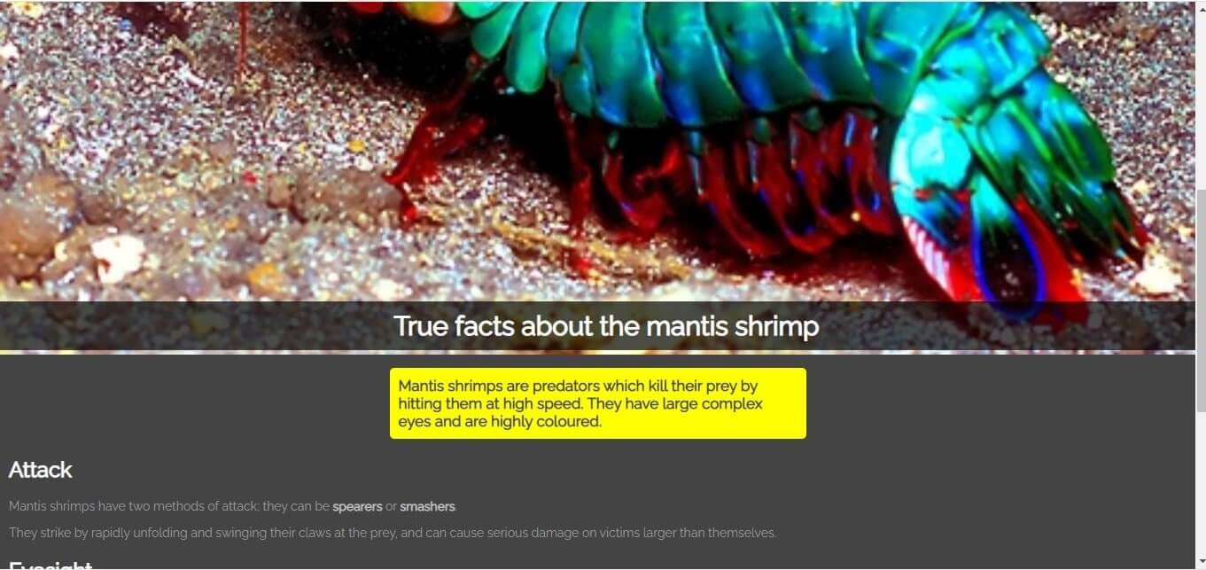 Portafolio Roman Pinelo