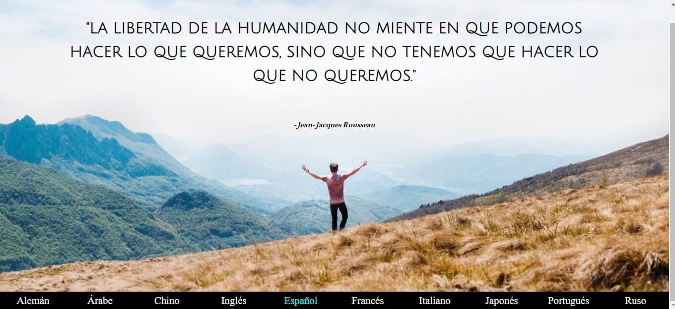 Portafolio Roman Pinelo